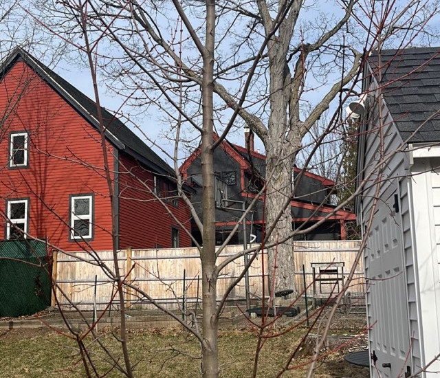 Budburst | Observation